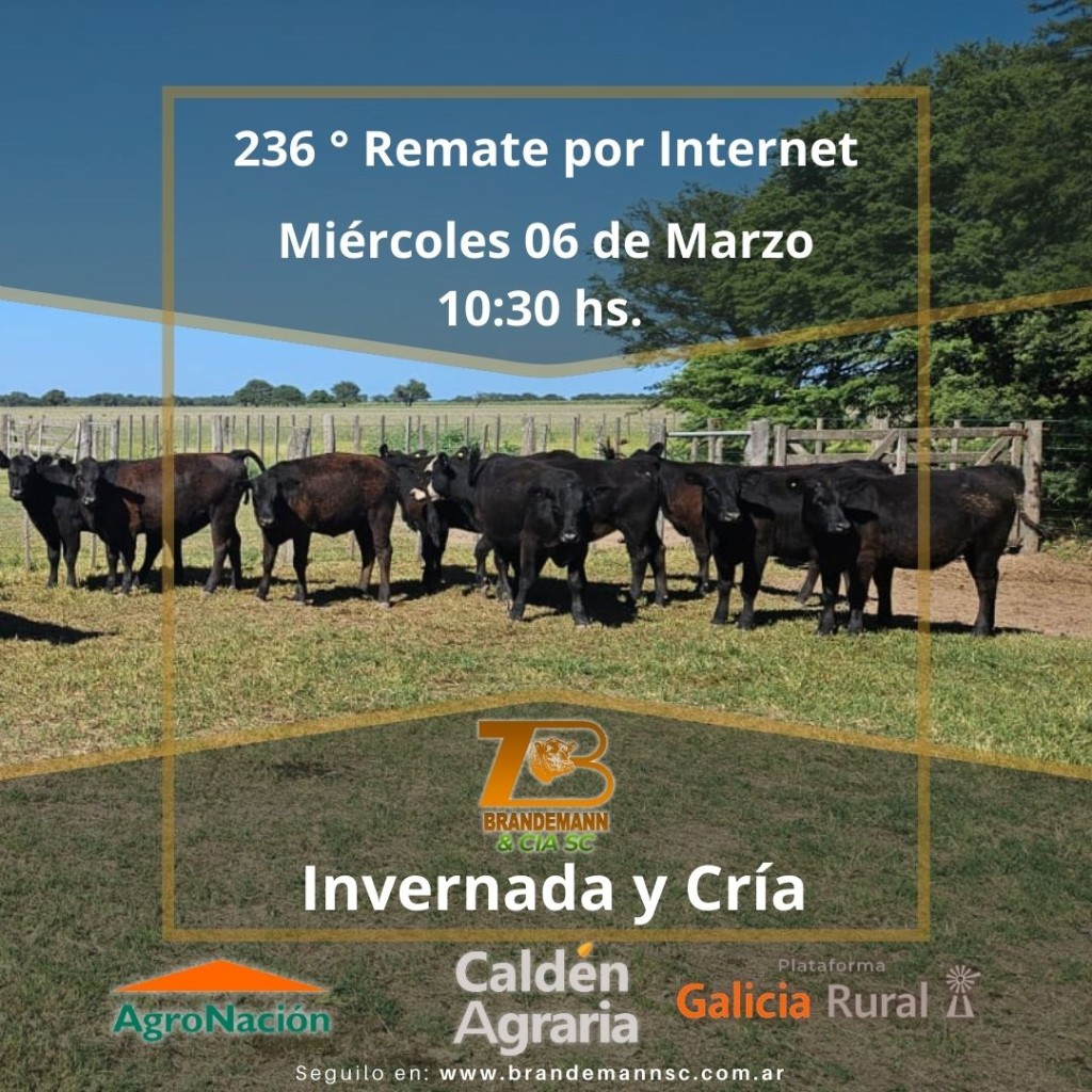 Gestión de Remates Online