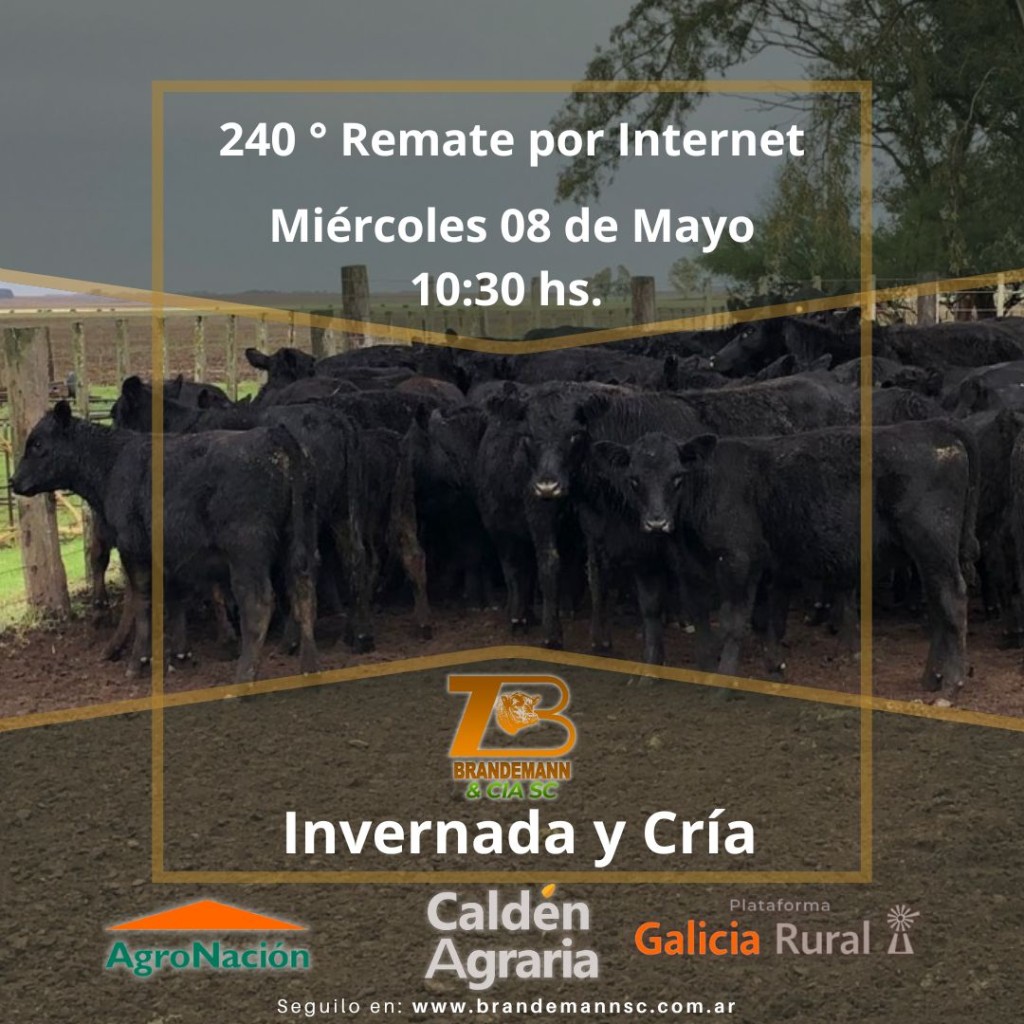 Gestión de Remates Online